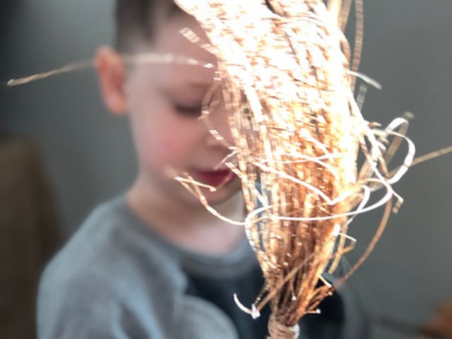 Child Care Parramatta - Explore & Develop