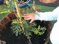 Child Care Parramatta - Explore & Develop