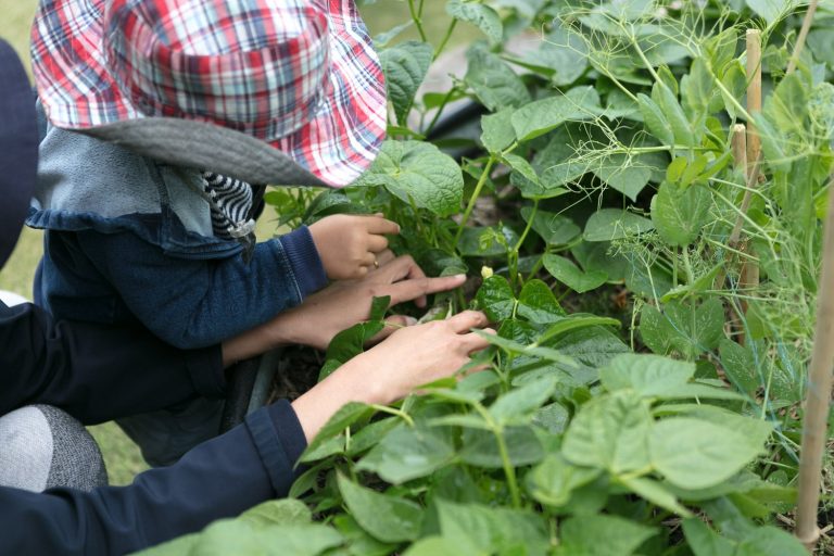 Child Care Annandale - Explore & Develop