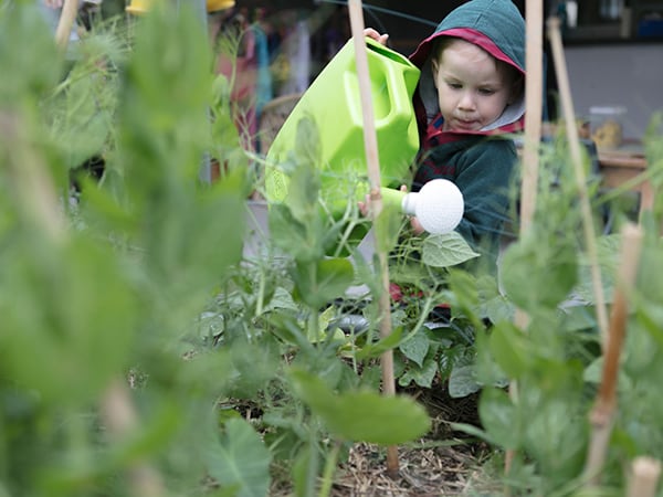 Child Care Annandale - Explore & Develop