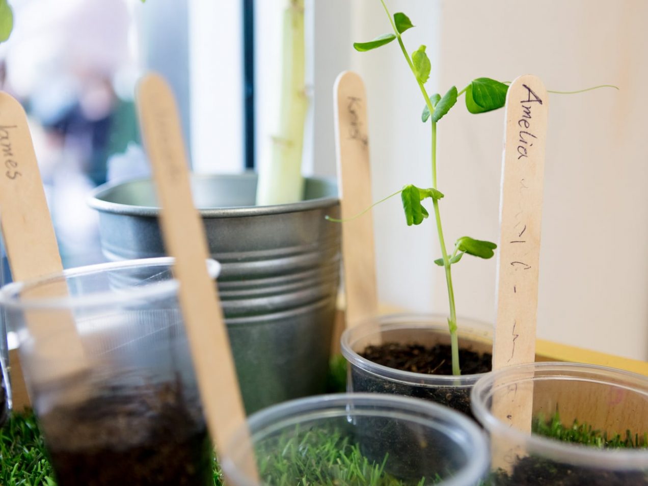 Child Care Annandale - Explore & Develop