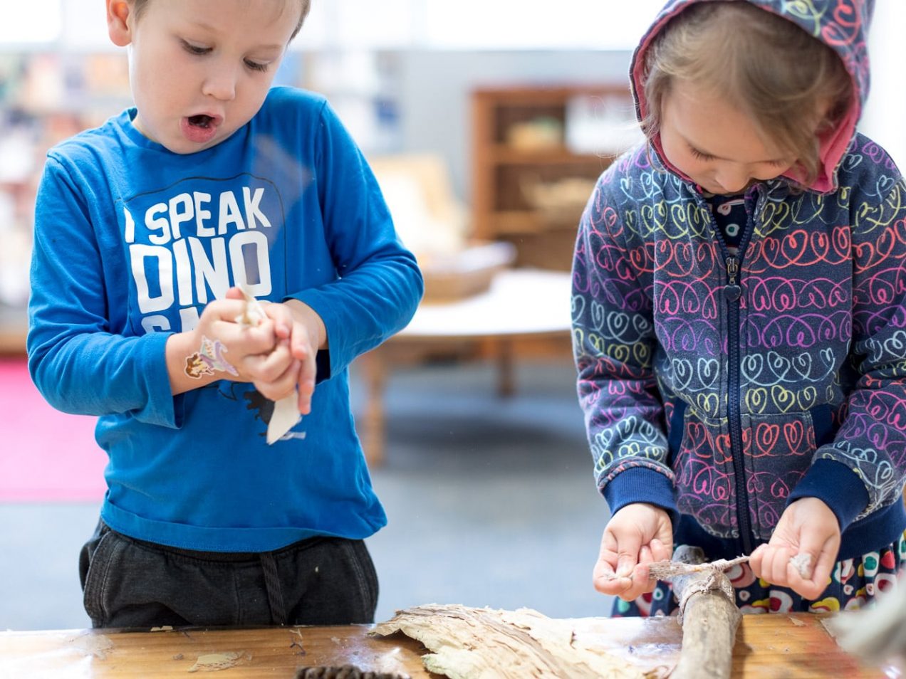 Child Care Annandale - Explore & Develop