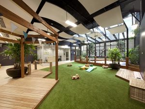 Child Care Sydney CBD Castlereagh Street - Explore & Develop