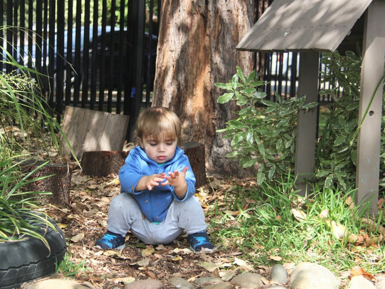 Child Care Narraweena - Explore & Develop