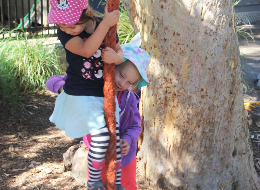 Child Care Narraweena - Explore & Develop