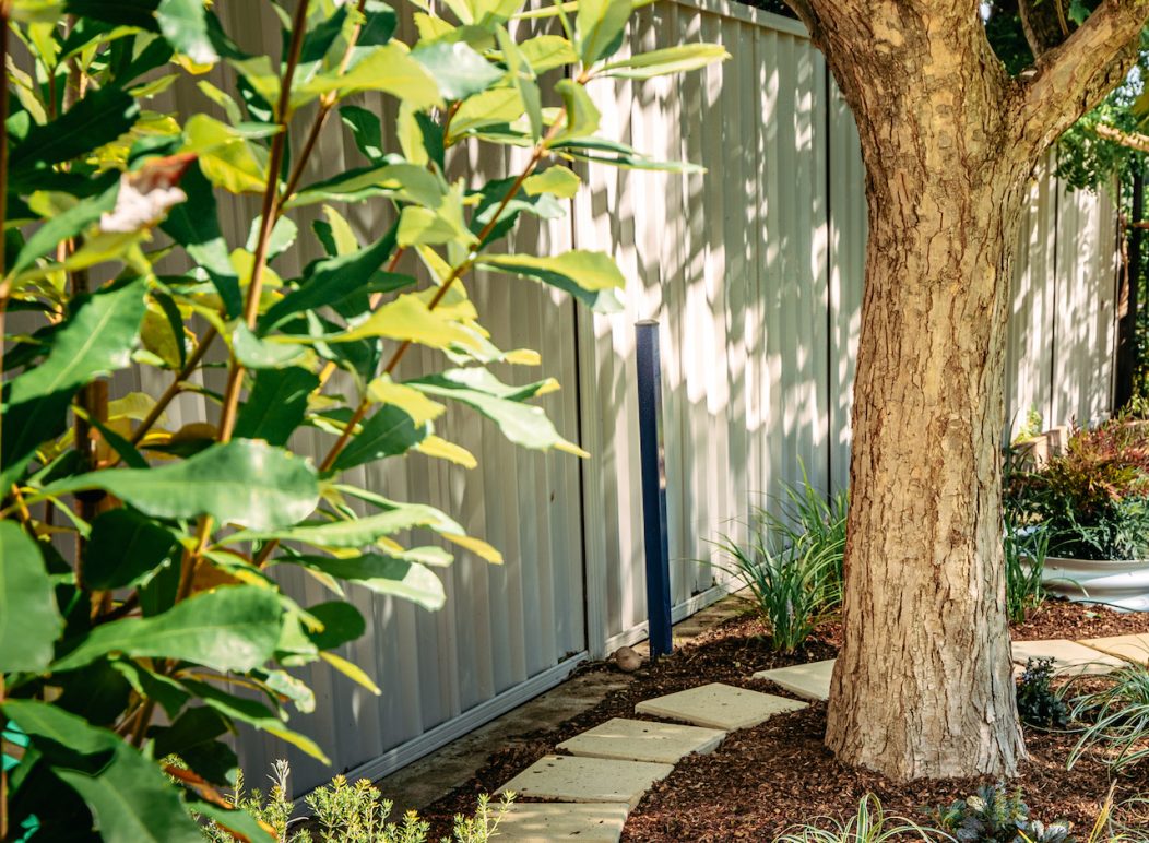 Child Care Conder, Canberra (ACT) - Explore & Develop